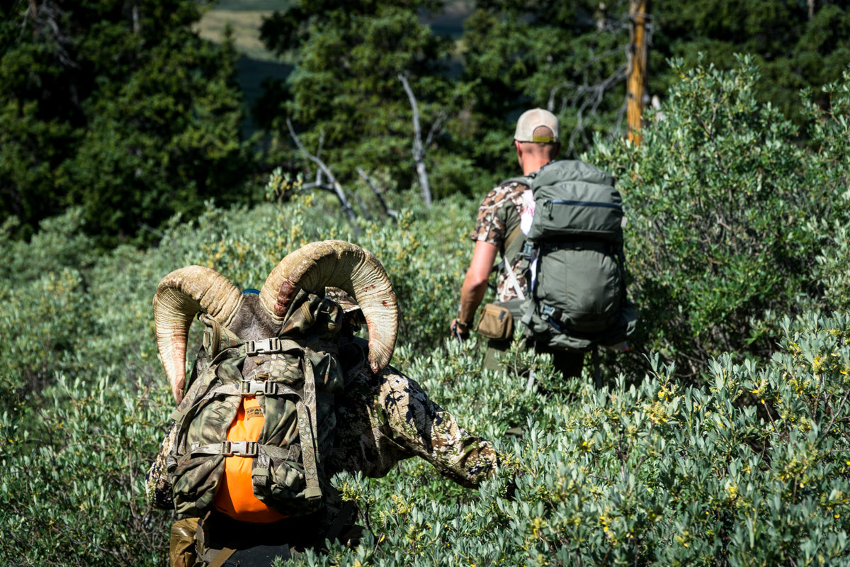 FAQs: Applying for Sheep, Goat and Moose Tags in Colorado – Caribou ...